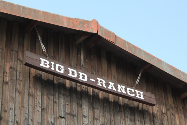 Big DD Ranch Urlaub